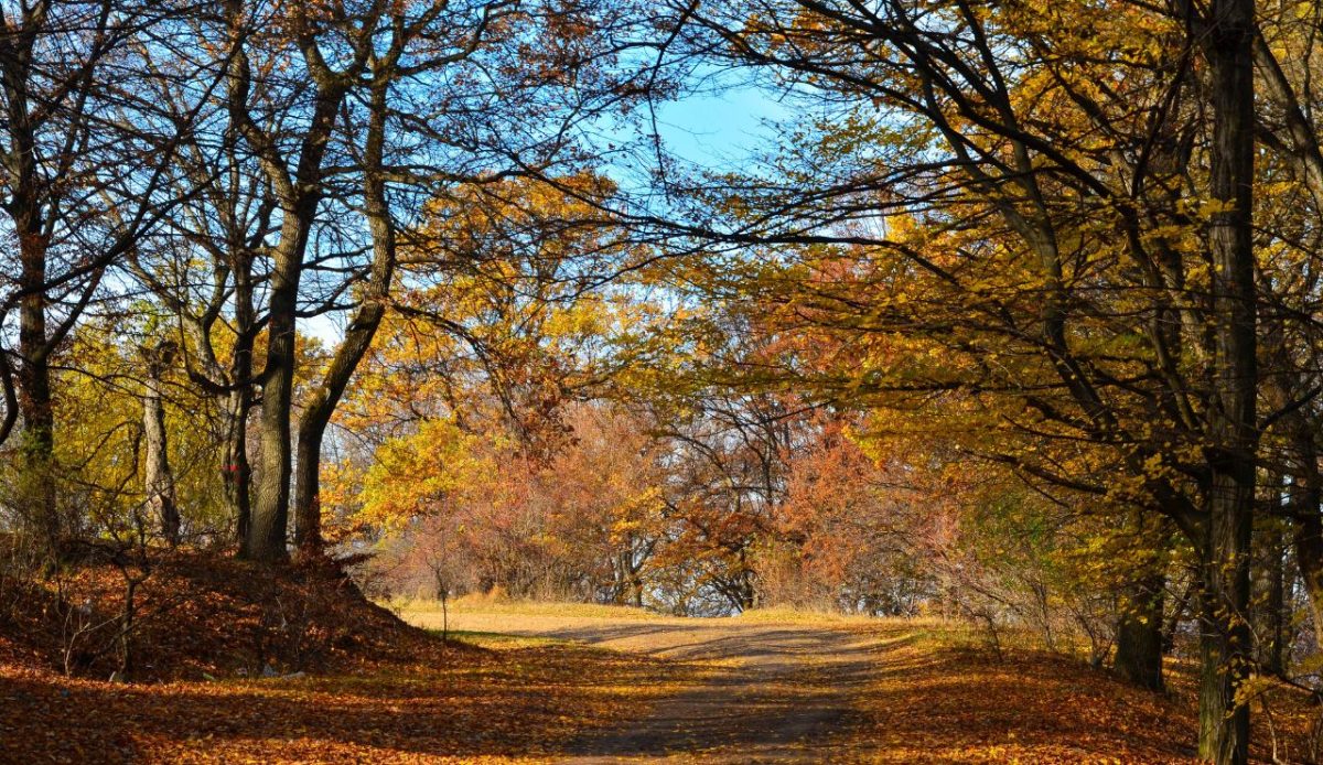 7 Destinations Travelers Say Felt Surprisingly Creepy and Unsettling ...