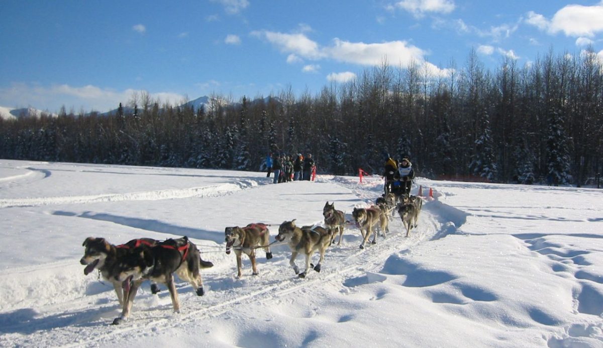 10 Fascinating Ancient Trails To Explore Across North America ...
