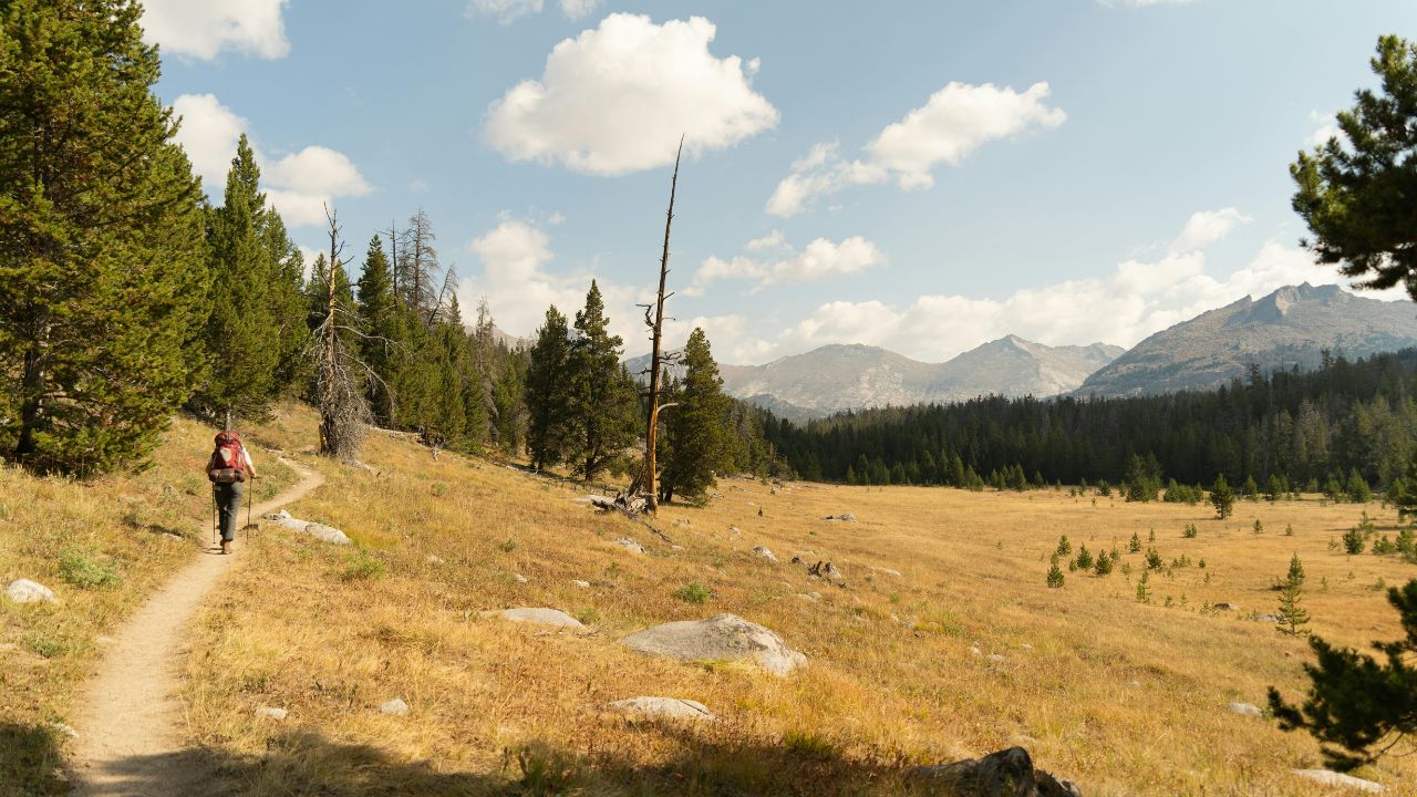 10 Fascinating Ancient Trails To Explore Across North America ...