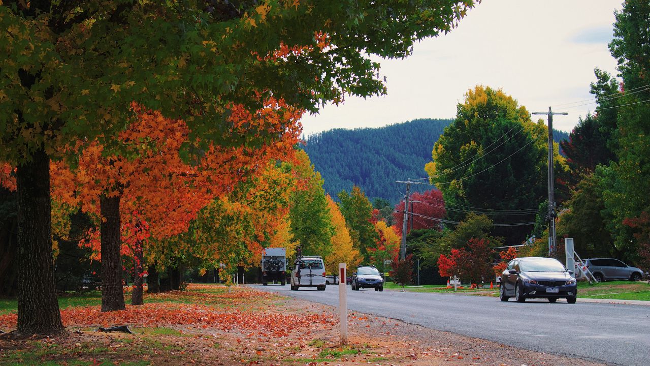 14 Fall Foliage Getaways From NYC Worth the Drive | Backroad Planet