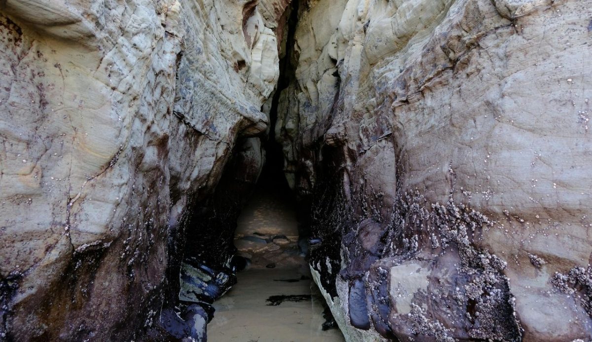 Inside the Grand Canyon’s Forbidden Zone and the Secrets That Have ...
