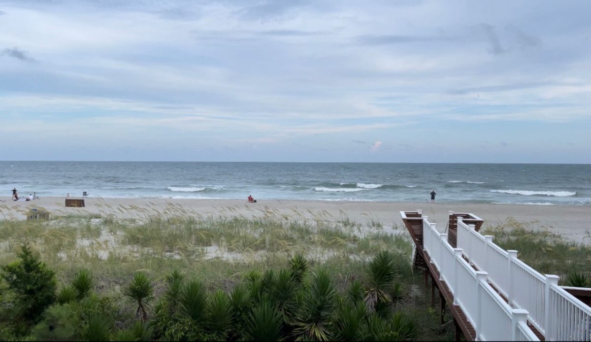 9 U.S. Beaches With the Highest Shark Risk | Backroad Planet