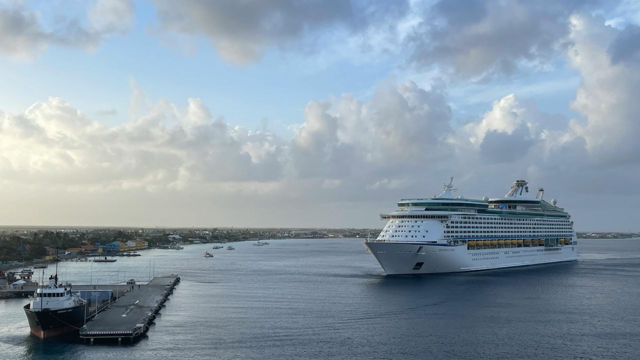 Cruise Line Shore Excursions vs Independent Tours Which Option Works ...