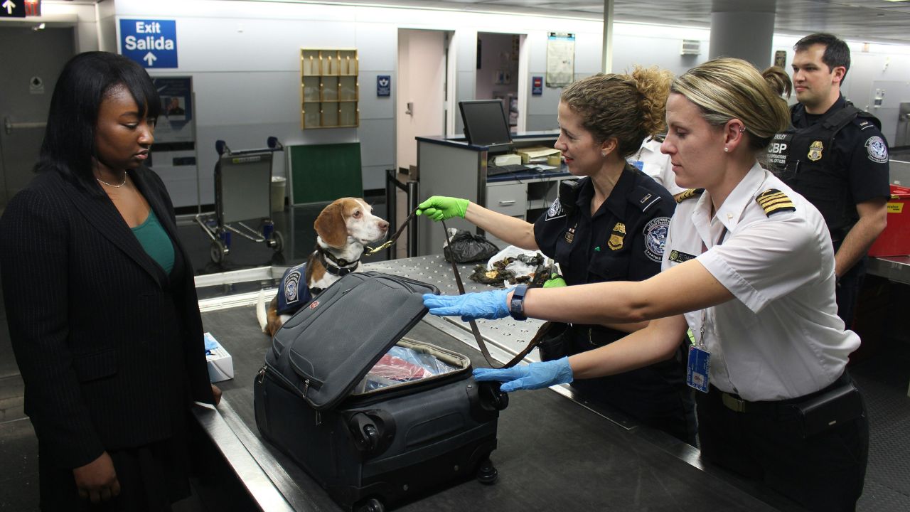 What TSA Officers Notice First When You Step Into Airport Security ...