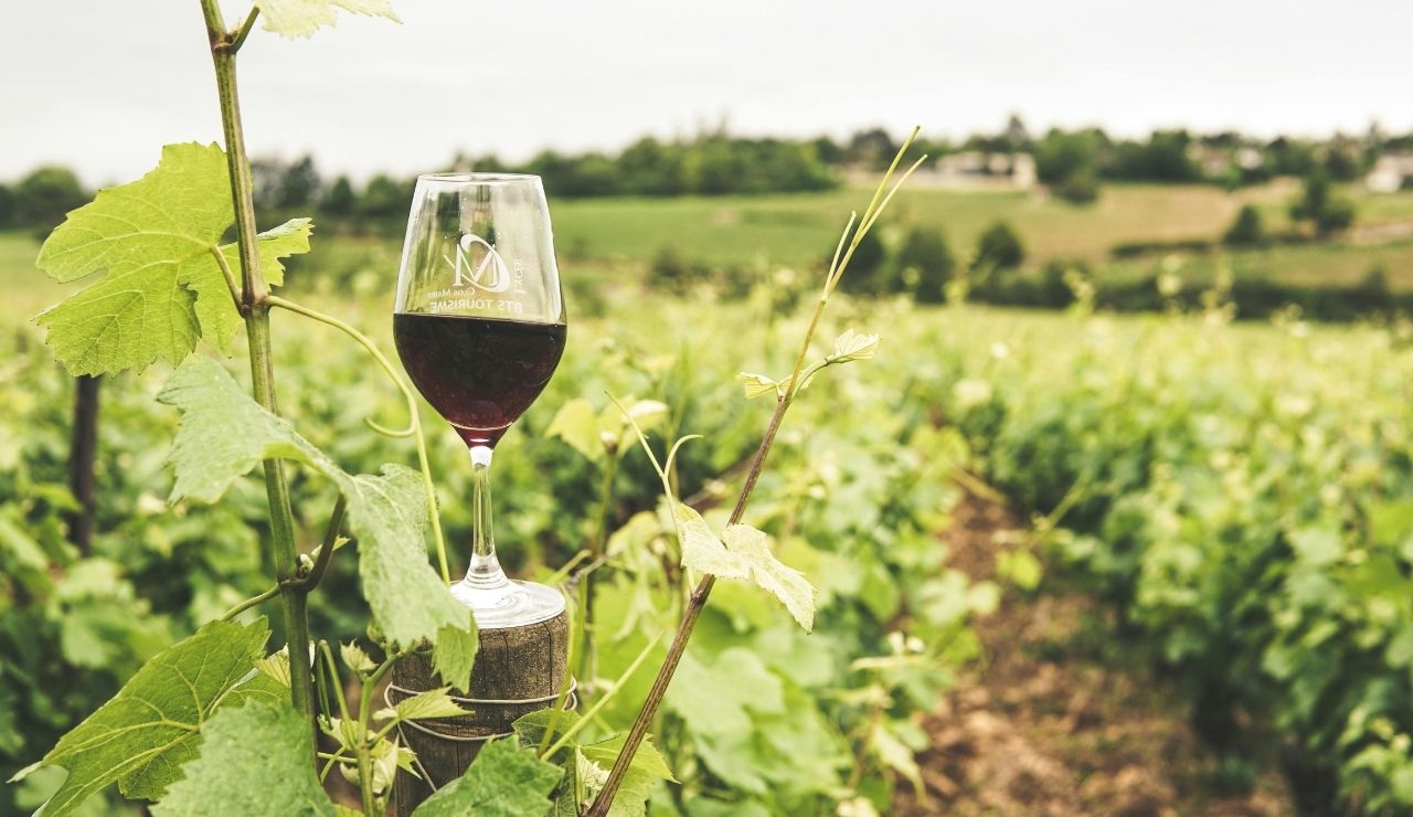 9 Wineries in Sicily and Sardinia for Island Views and Unforgettable ...