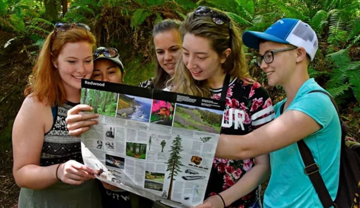 A First-Timer’s Guide to Exploring Redwood National Park Like a Local ...