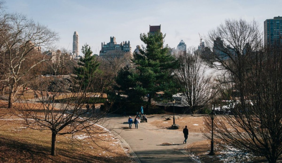 10 Free Things to Do With Kids in NYC This Winter | Backroad Planet
