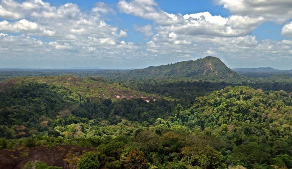 12 Wild Destinations Packed With Rare Wildlife and Untouched Nature ...