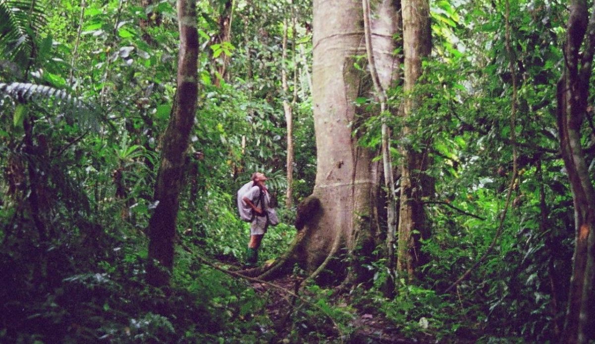 10 Remote Jungle Treks Only Experienced Adventurers Attempt | Backroad ...