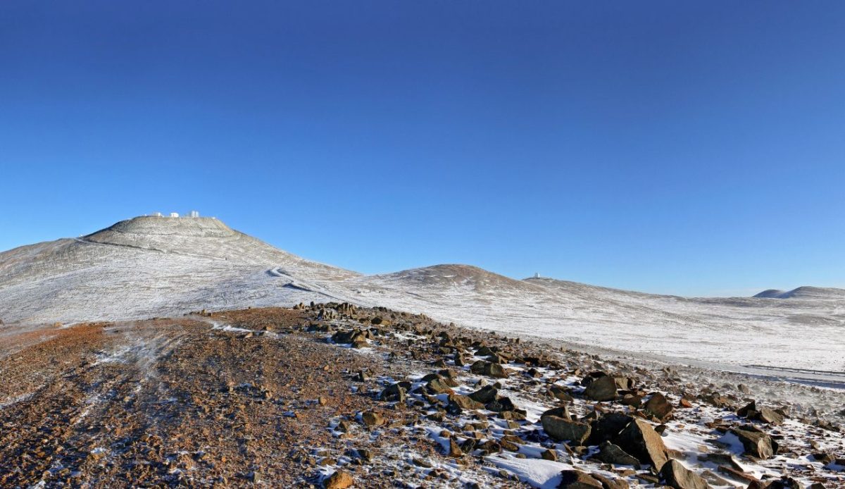 10 Destinations Where Rare Plant Life Still Thrives Against the Odds ...