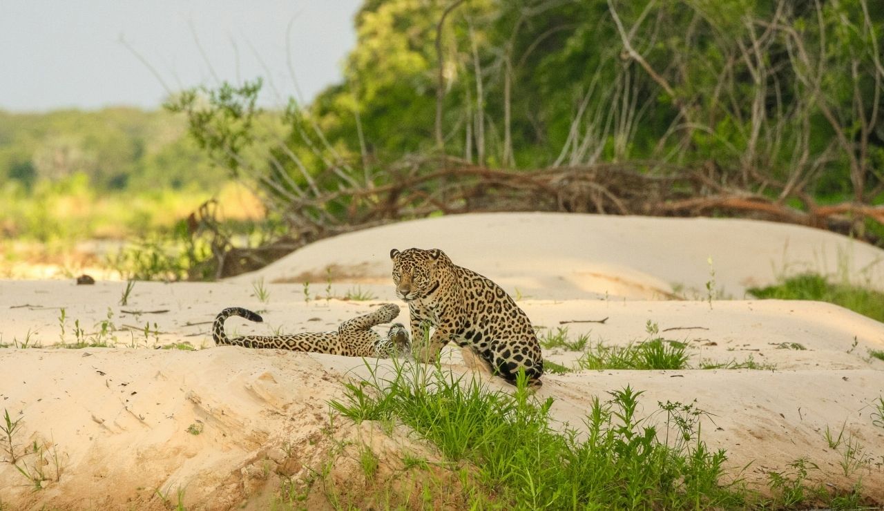 12 Wild Destinations Packed With Rare Wildlife and Untouched Nature ...