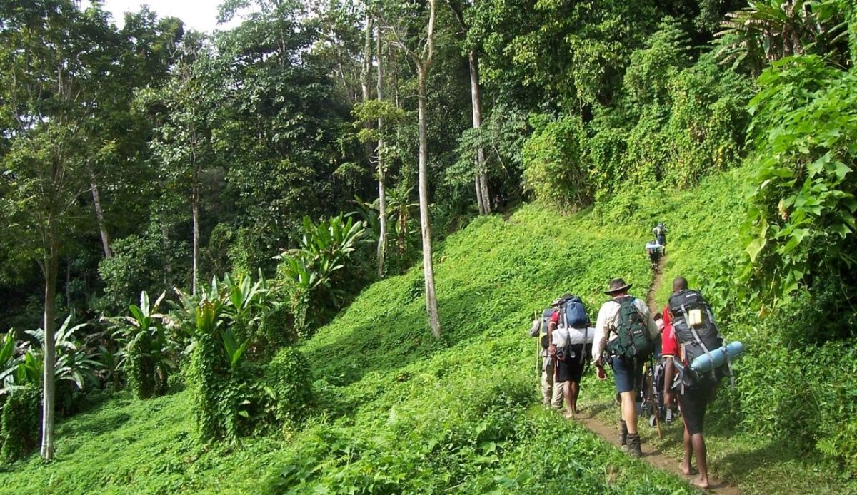 10 Remote Jungle Treks Only Experienced Adventurers Attempt | Backroad ...