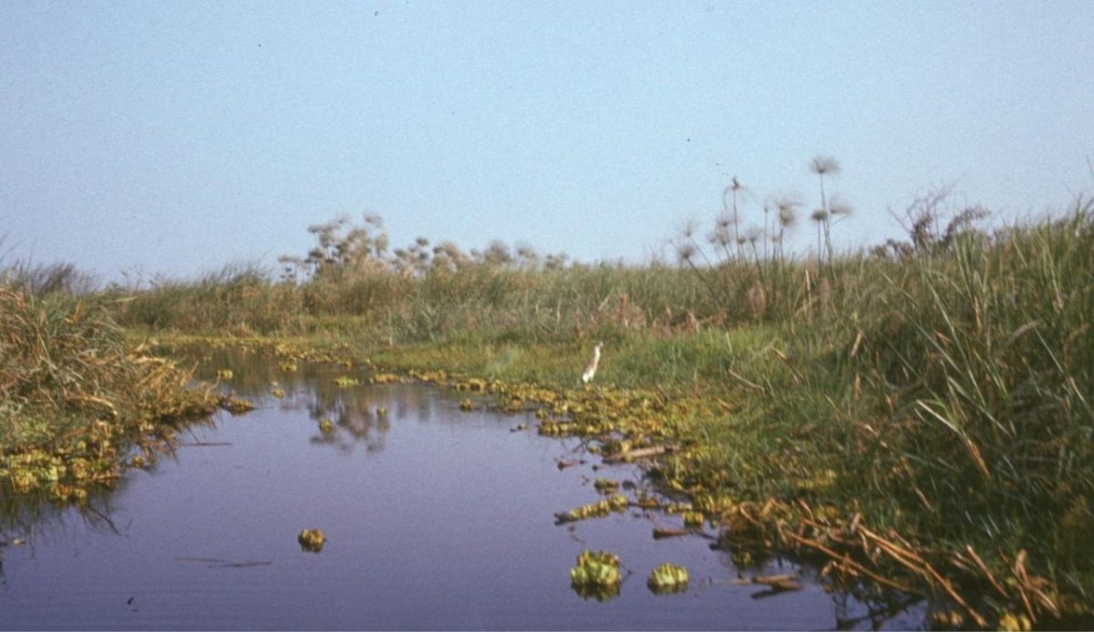 10 Famous Freshwater Lakes Facing Serious Environmental Changes ...