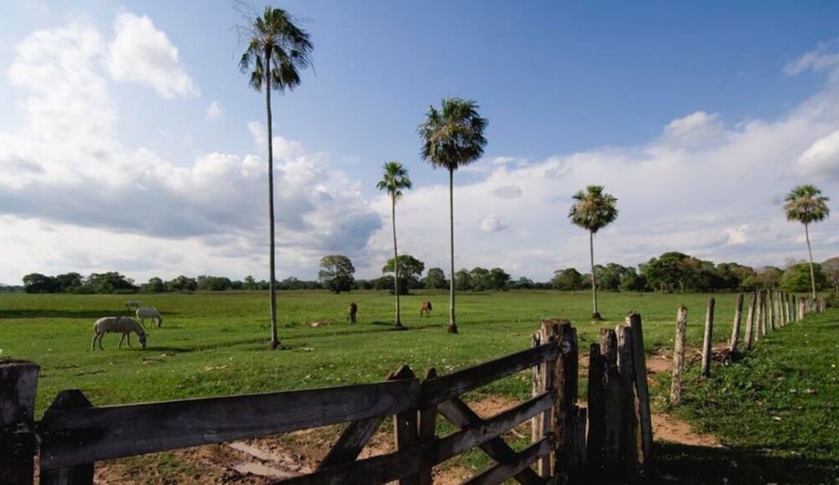 10 Natural Wonders Across Latin America Worth Seeing At Least Once ...