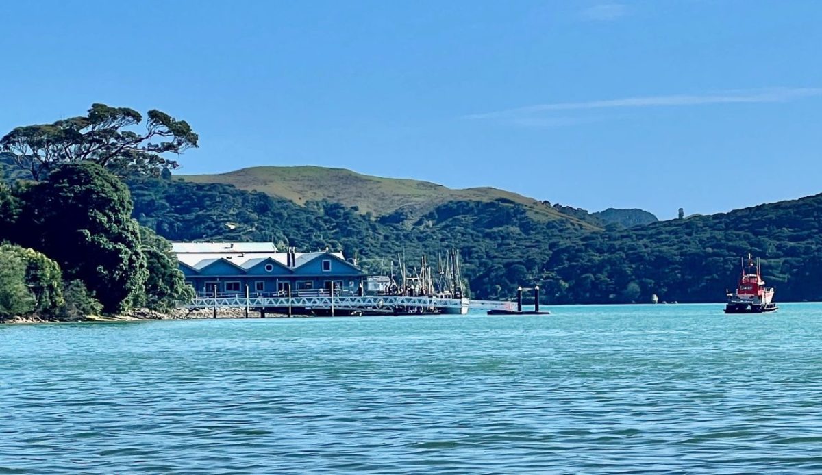 8 Surf Destinations That Look Boring Until the Waves Prove You Wrong ...