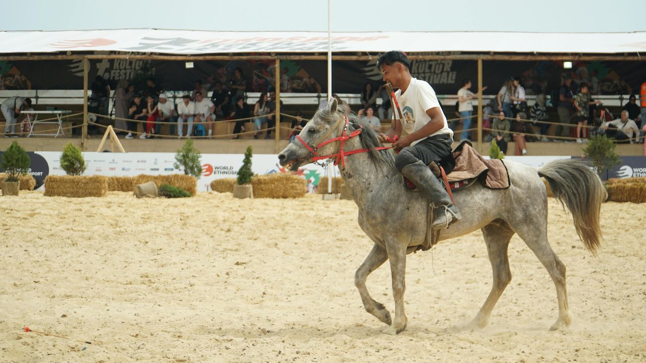 12 Underground Destinations Where Illegal Sports Quietly Still Exist ...