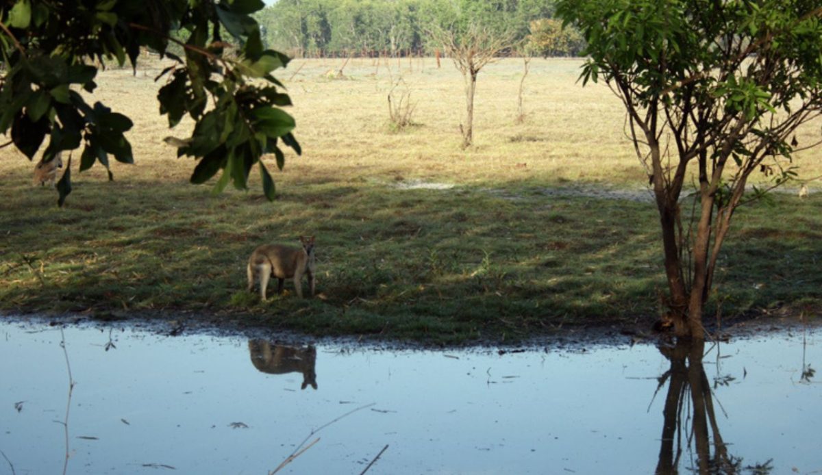 10 Dangerous Wildlife Hotspots Where You Can Spot Extremely Rare Birds ...