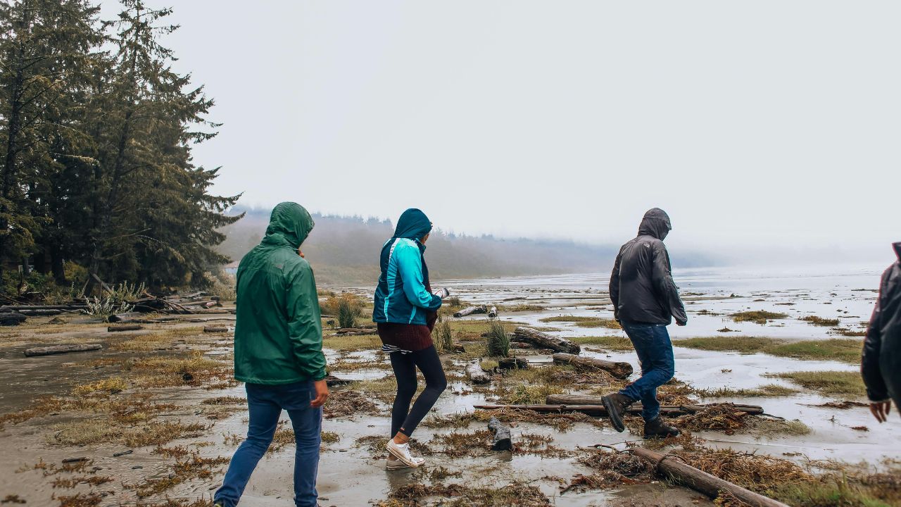 14 Viral Beaches Turning to Toxic Mud | Backroad Planet