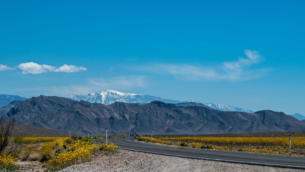 12 U.S. Tourist Areas With Rising Public Safety Warnings | Backroad Planet