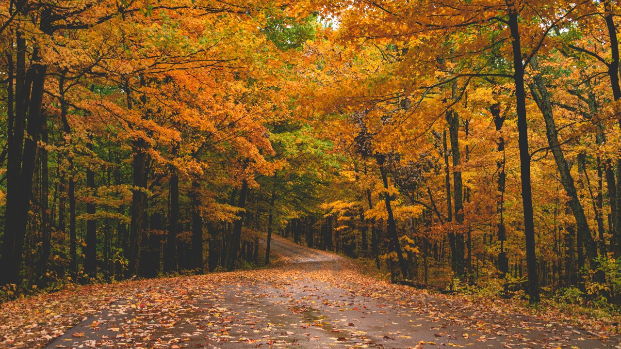 9 Scenic American Highways Now Known for Traffic Gridlock | Backroad Planet