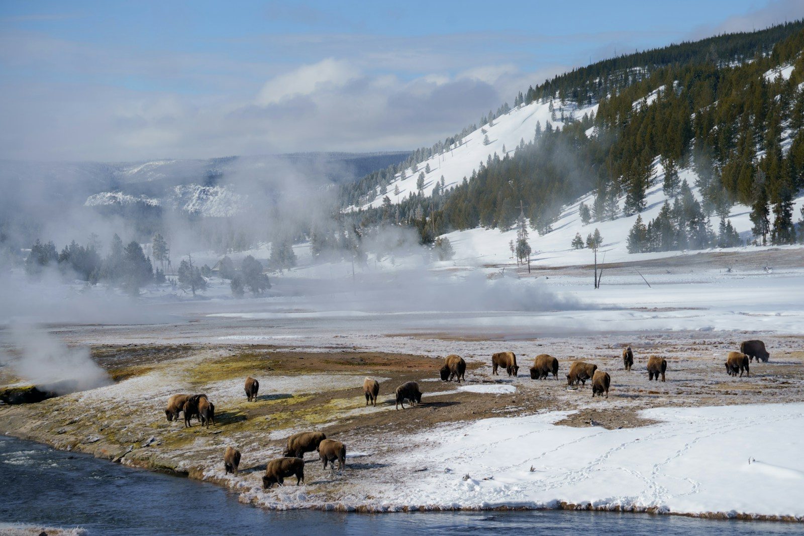 8 Reasons Yellowstone Should Be on Your 2026 Travel List | Backroad Planet